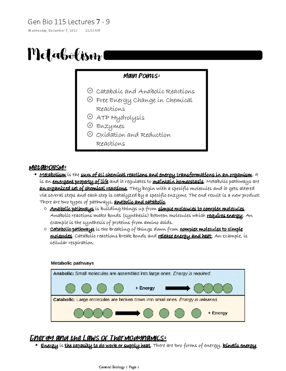 Gen Bio 115 Lectures 7 - 9 - Main Points: Catabolic and Anabolic ...