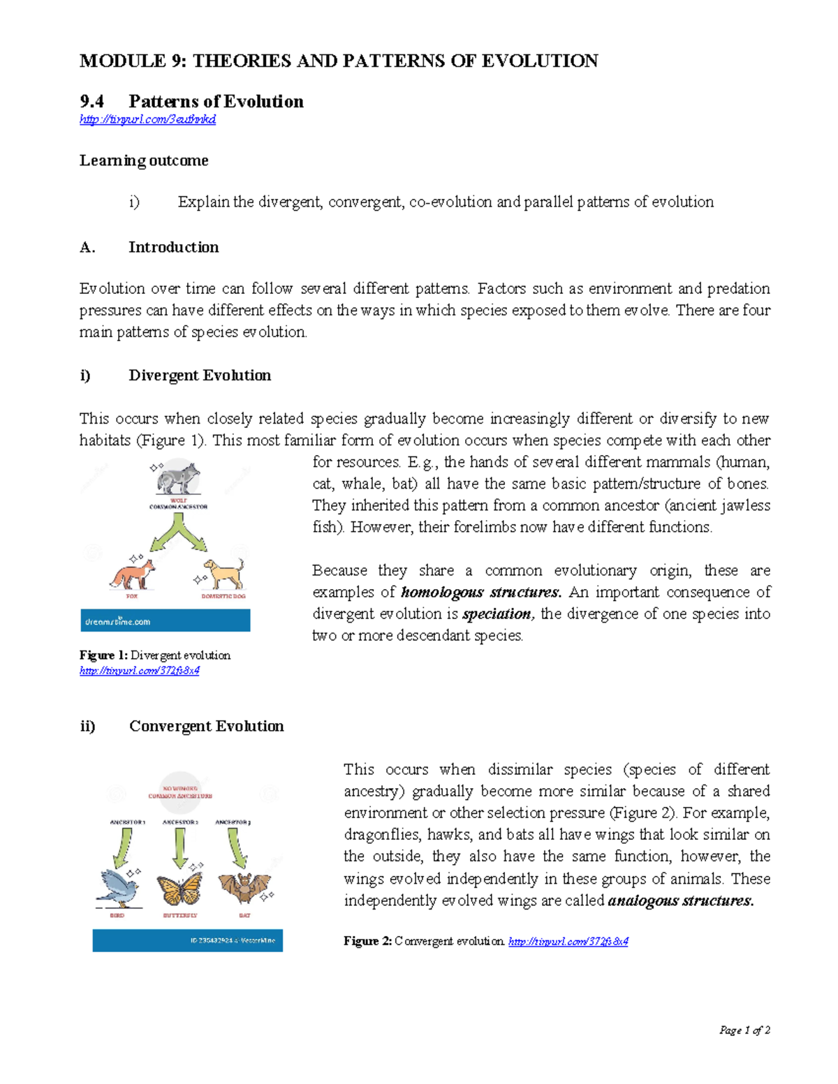 Module 9 Theories and Patterns of Evolution Lecture Notes 9.4 Patterns ...