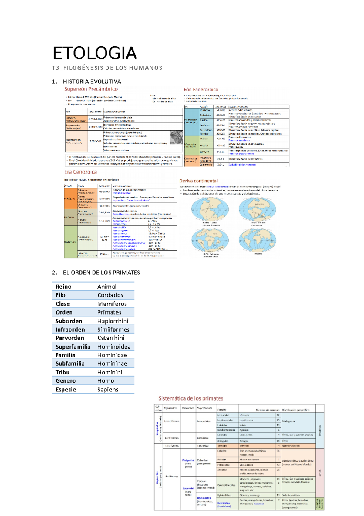 T3 Filogénesis DE LOS Humanos - ETOLOGIA T3_FILOGÉNESIS DE LOS HUMANOS ...