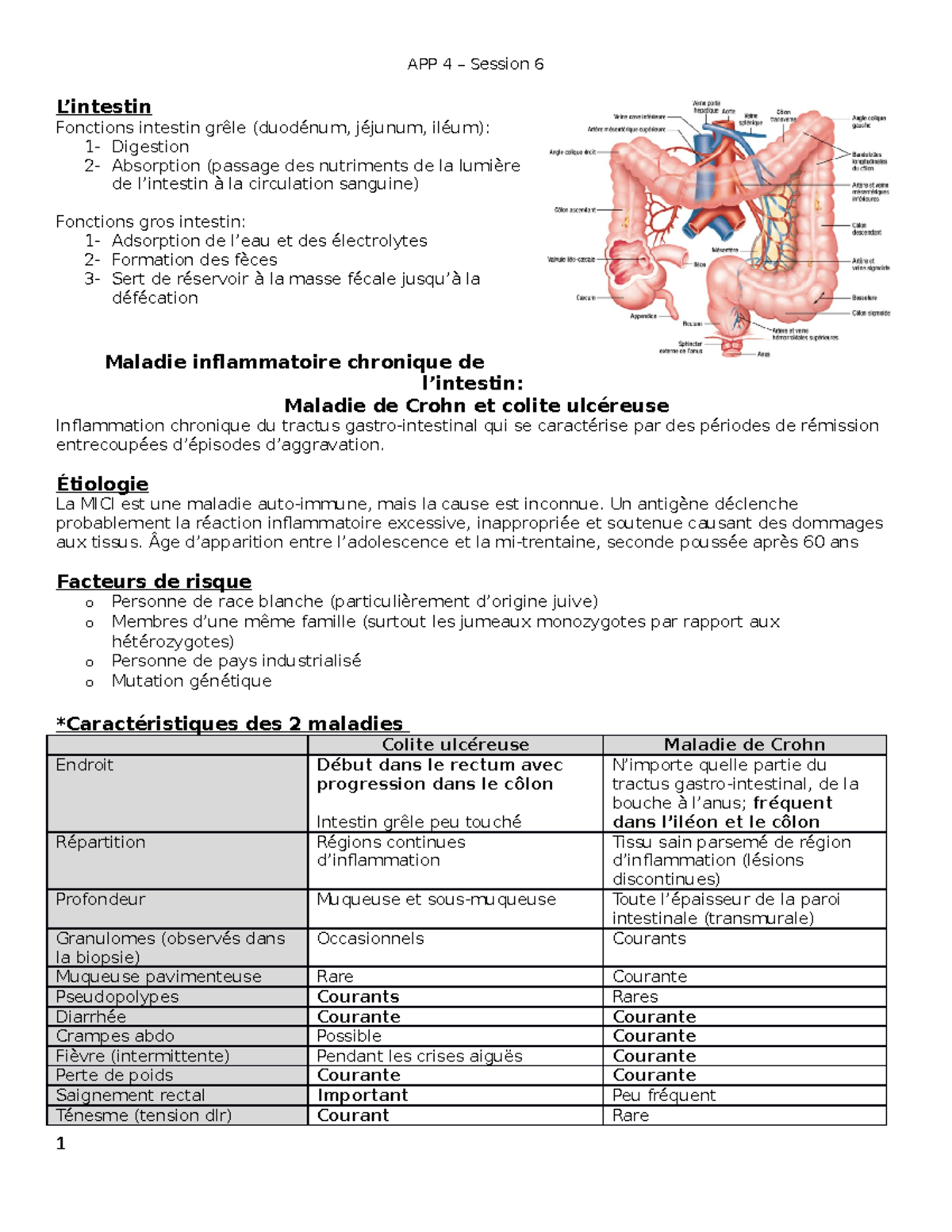 App 4 En françaismknknkmnkk jnnkn - L’intestin Fonctions intestin grêle ...