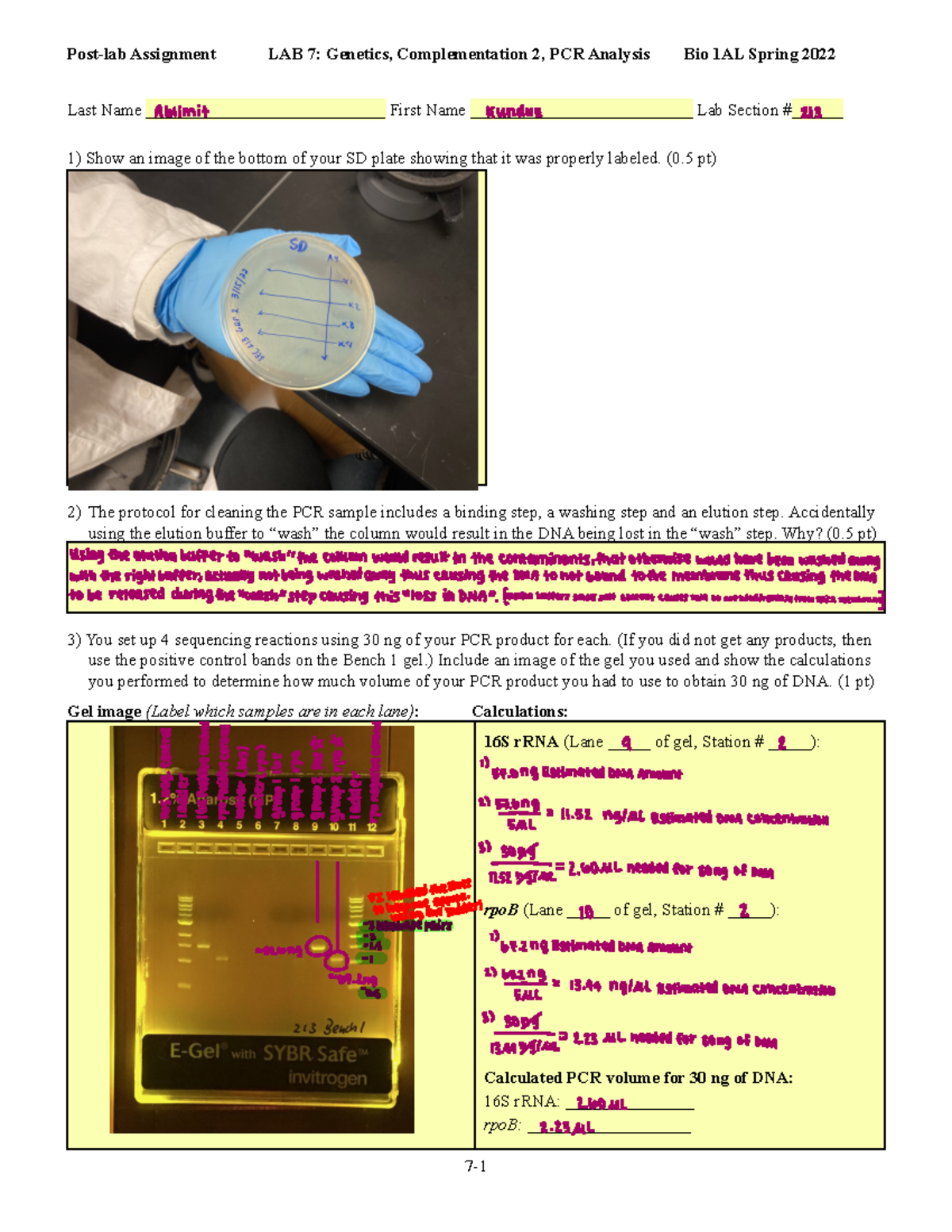 Lab 7 GMB 2 Post Lab Sp22 - Post Lab. - /DVW 1DPH ...