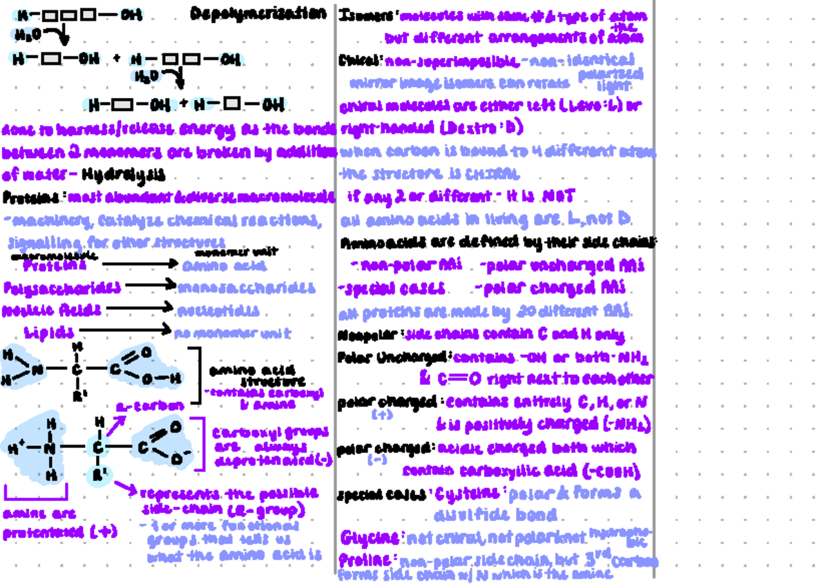 page 4 - BIO 201 - Notes - H OH Depolymerization Isomers molecules with ...