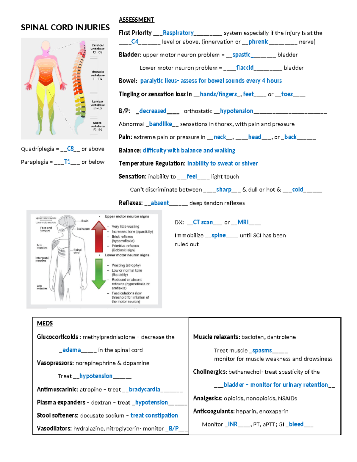 SCI worksheet key - course work - SPINAL CORD INJURIES Quadriplegia ...