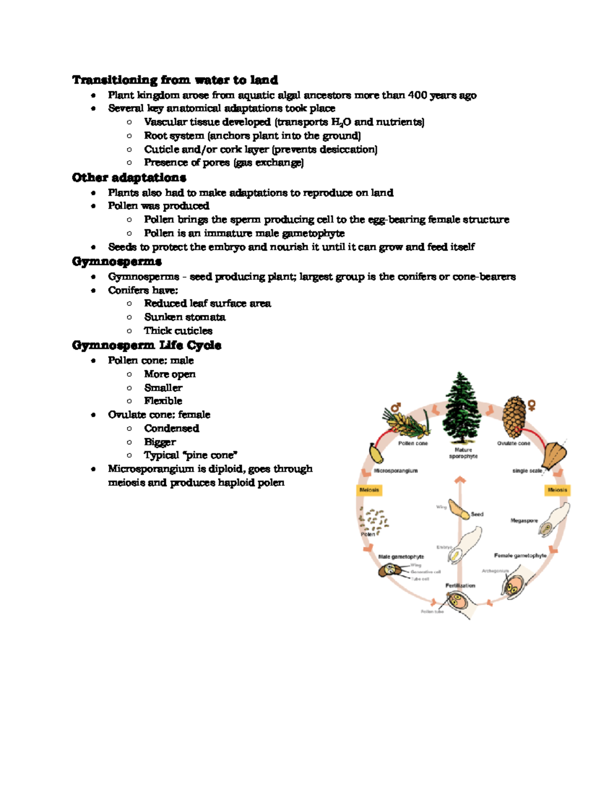 BIOL 100 - Plant Diversity Structure Notes - Transitioning from water ...