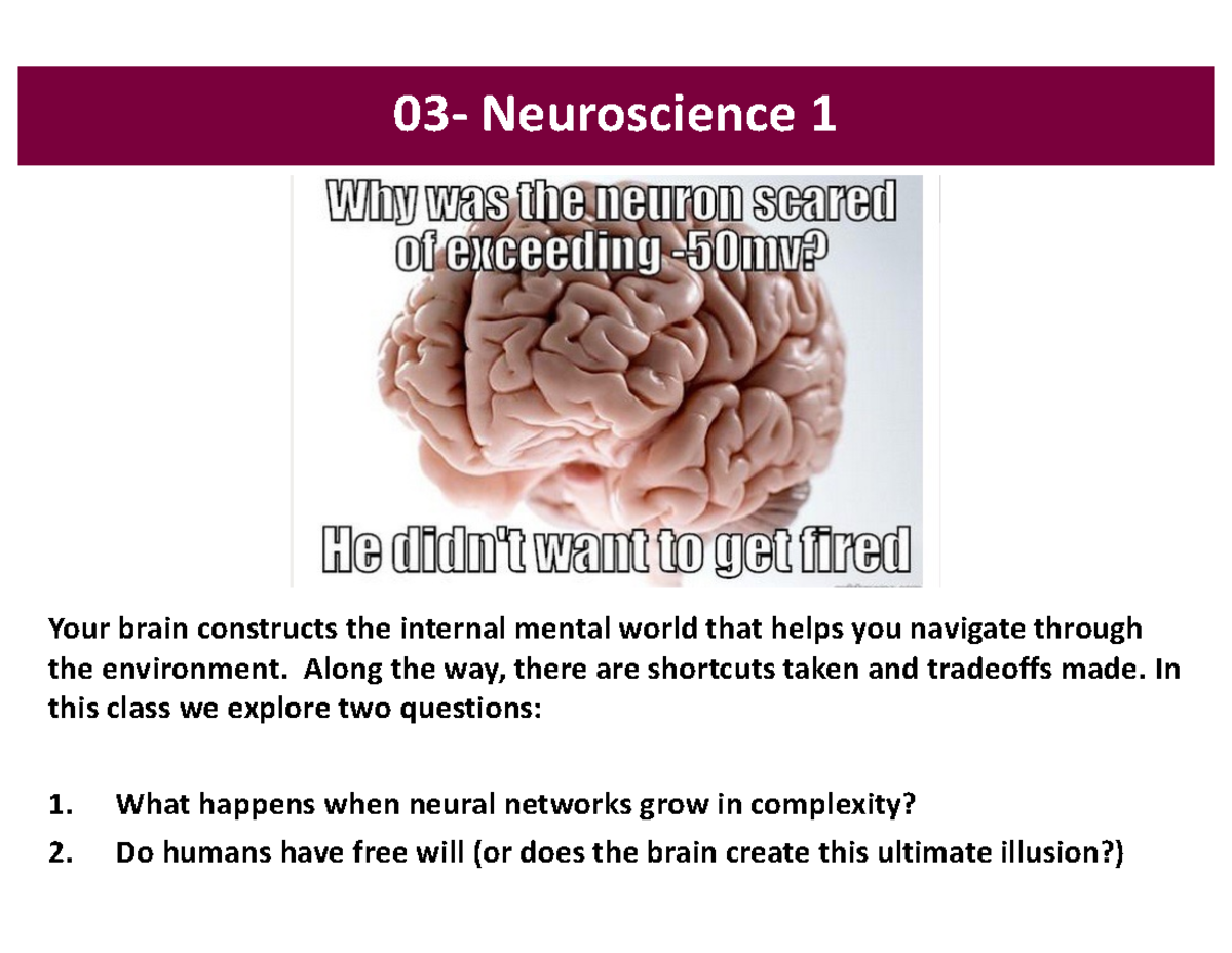 Neuro 1 - LECTURE SLIDES - 03 - Neuroscience 1 Your brain constructs the internal mental world ...