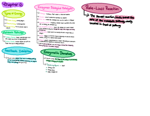 BIOL224 Chapter 6 Study Guide(Completed) - Chapter 6 Study Guide ...