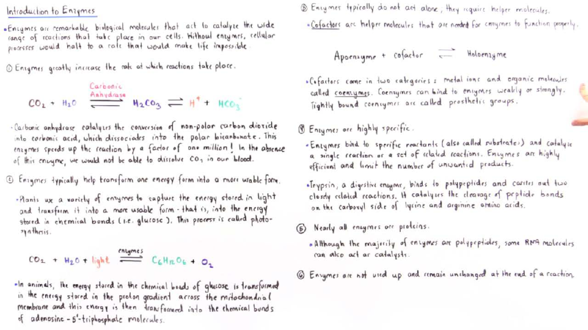 Enyzme intro - CHEM 321 - Studocu