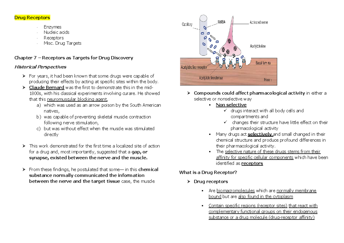 DRUG Receptors Reviewer MED ORG - Drug Receptors Enzymes Nucleic acids ...