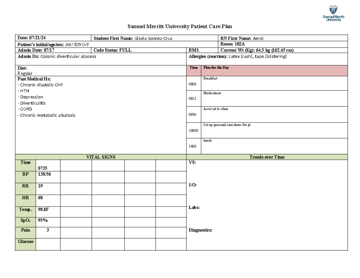 Patient Care Plan - MCA I care plan sample - Samuel Merritt University ...