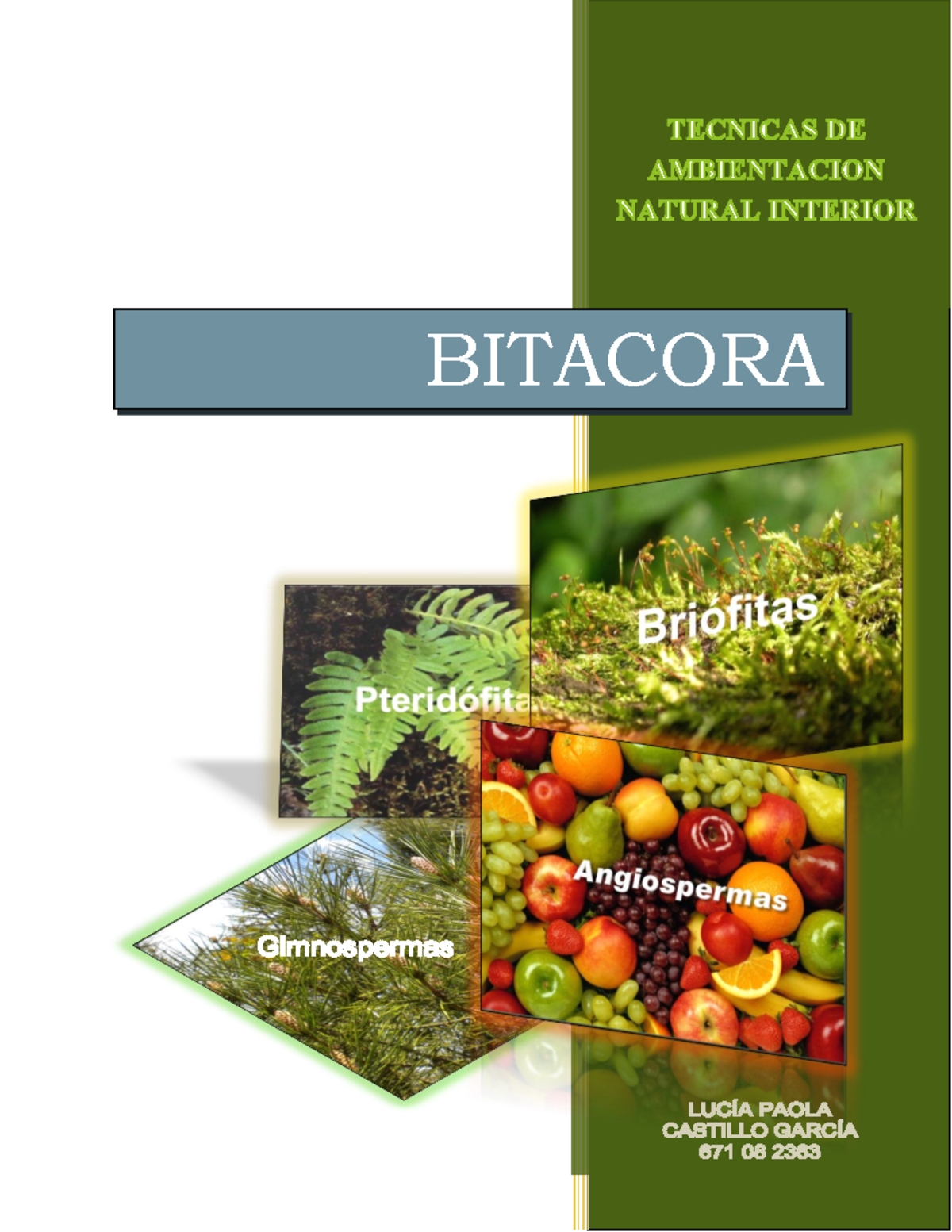 Bitacora Tecnicas DE Ambientacion Natural I Parte I - BITACORA La ...