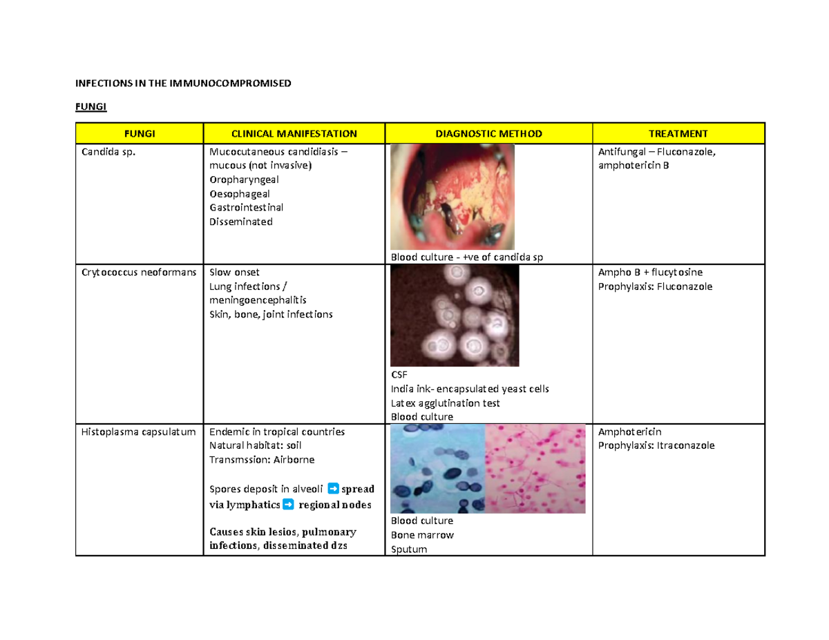 Infections in the immunocompromised - INFECTIONS IN THE ...