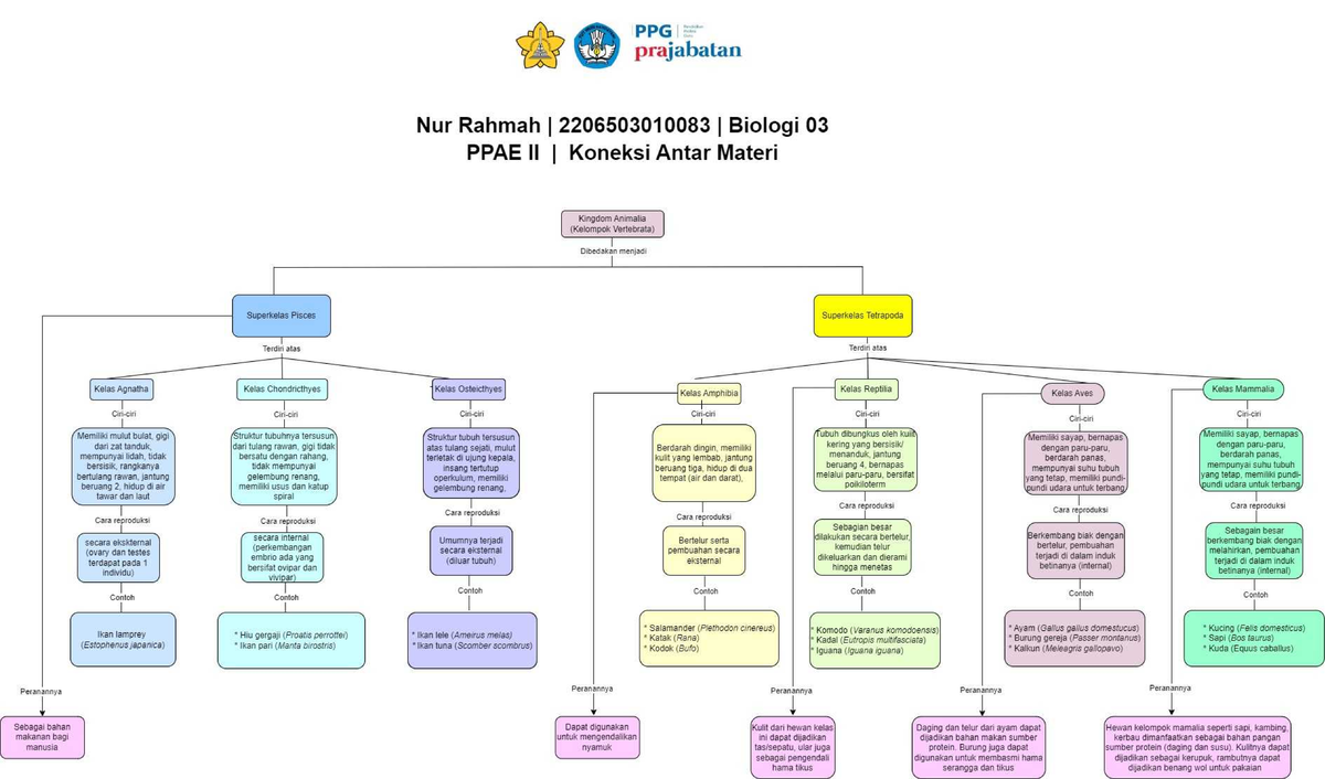 Peta Konsep Kingdom Animalia (Vertebrata) - Mapping - Studocu