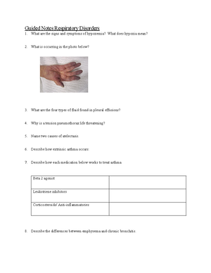 Diabetes Mellitus Guiding Notes - Diabetes Guided Notes What happens ...