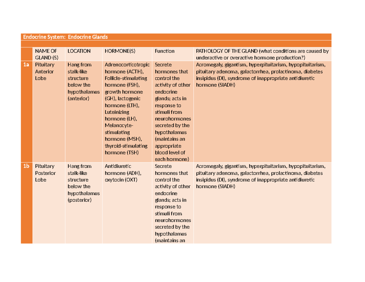 Endocrine System Table - Endocrine System: Endocrine Glands NAME OF ...