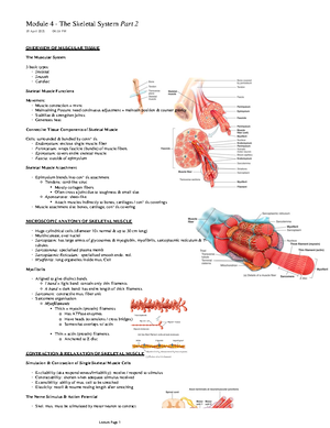 700316 Module 2 A&P for Health Sciences Integumentary System - Student ...