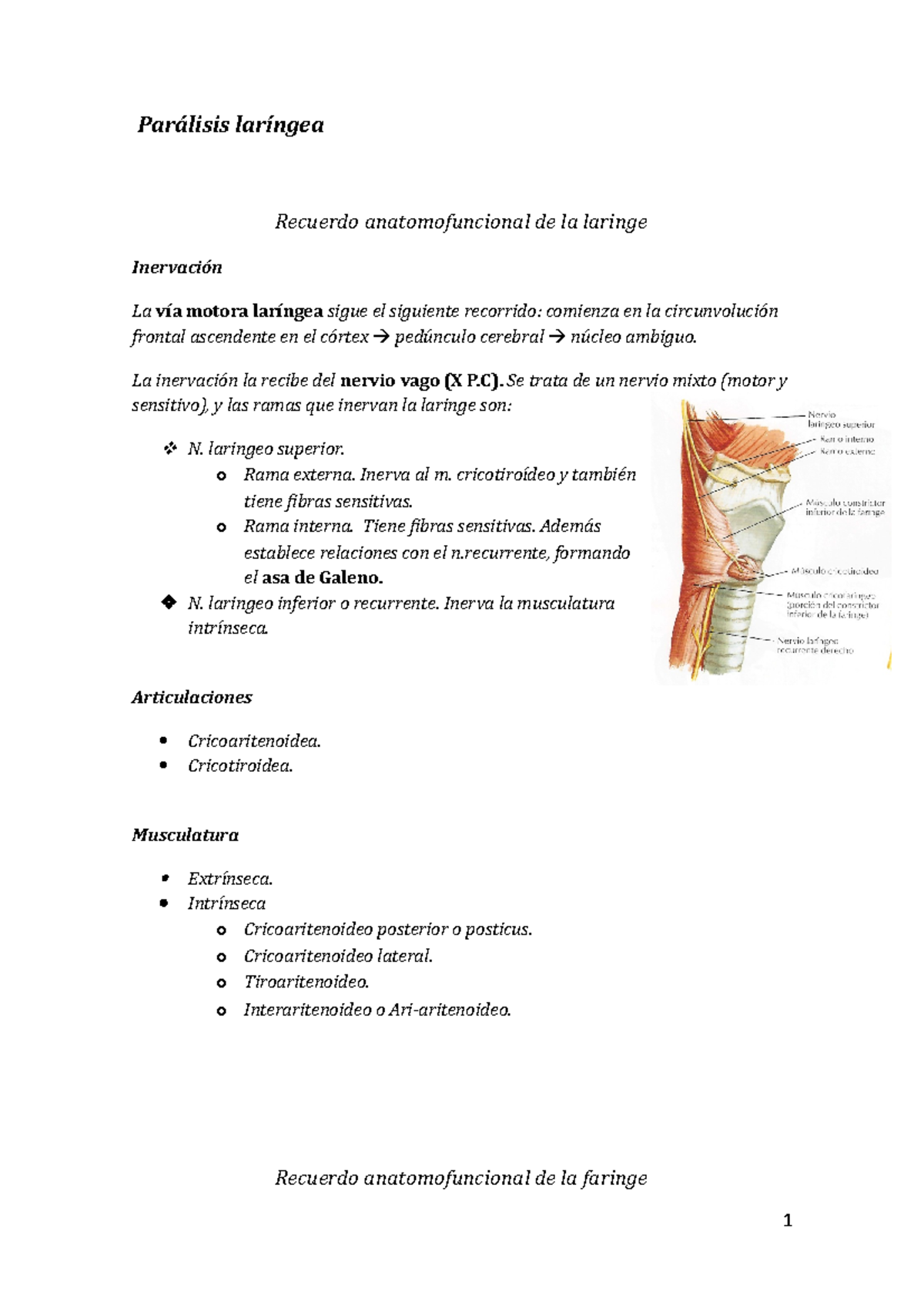 Parálisis laríngea - paralisis laringea - Parálisis laríngea Recuerdo ...