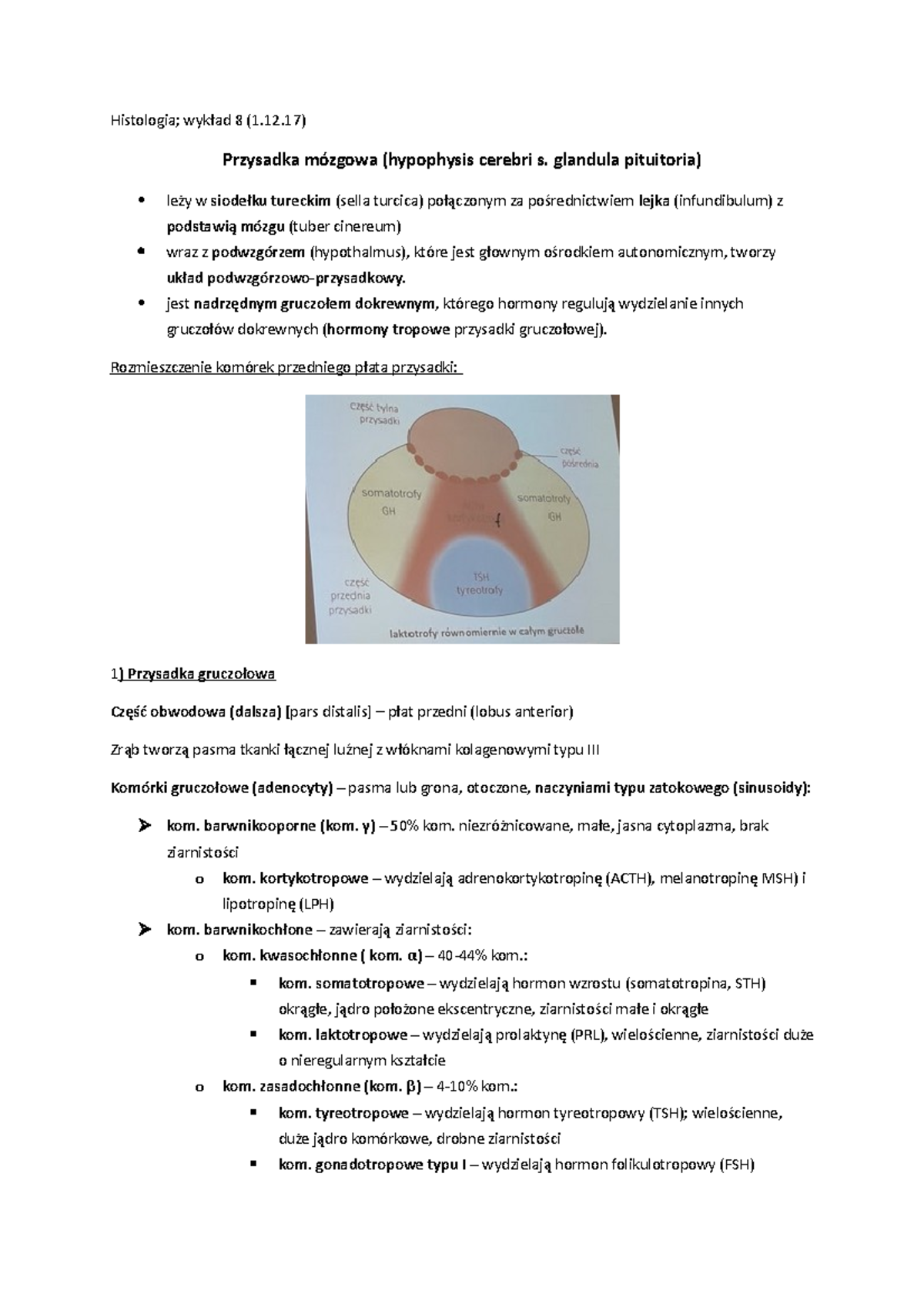Histologia-wykład(1 - Notatki z wykładu 8 - 8 (1.12) Przysadka ...