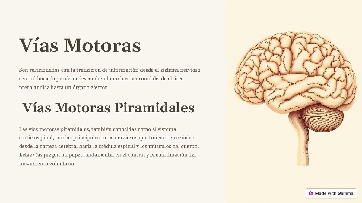 Vias-Motoras - vias motoras - Vías Motoras Son relacionadas con la ...