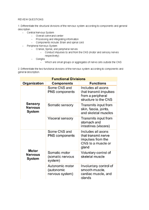 Worksheet 5 Diff Template - Compact and cancellous (spongy or ...