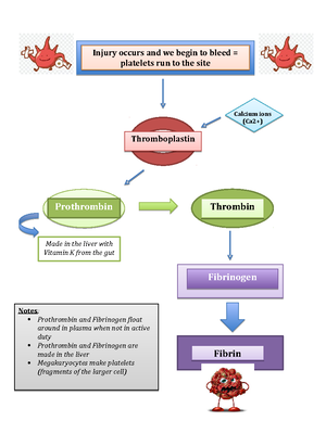 Lab Week 1 Activity - Anatomy and Physiology - Lab Week 1 Activity: Use ...