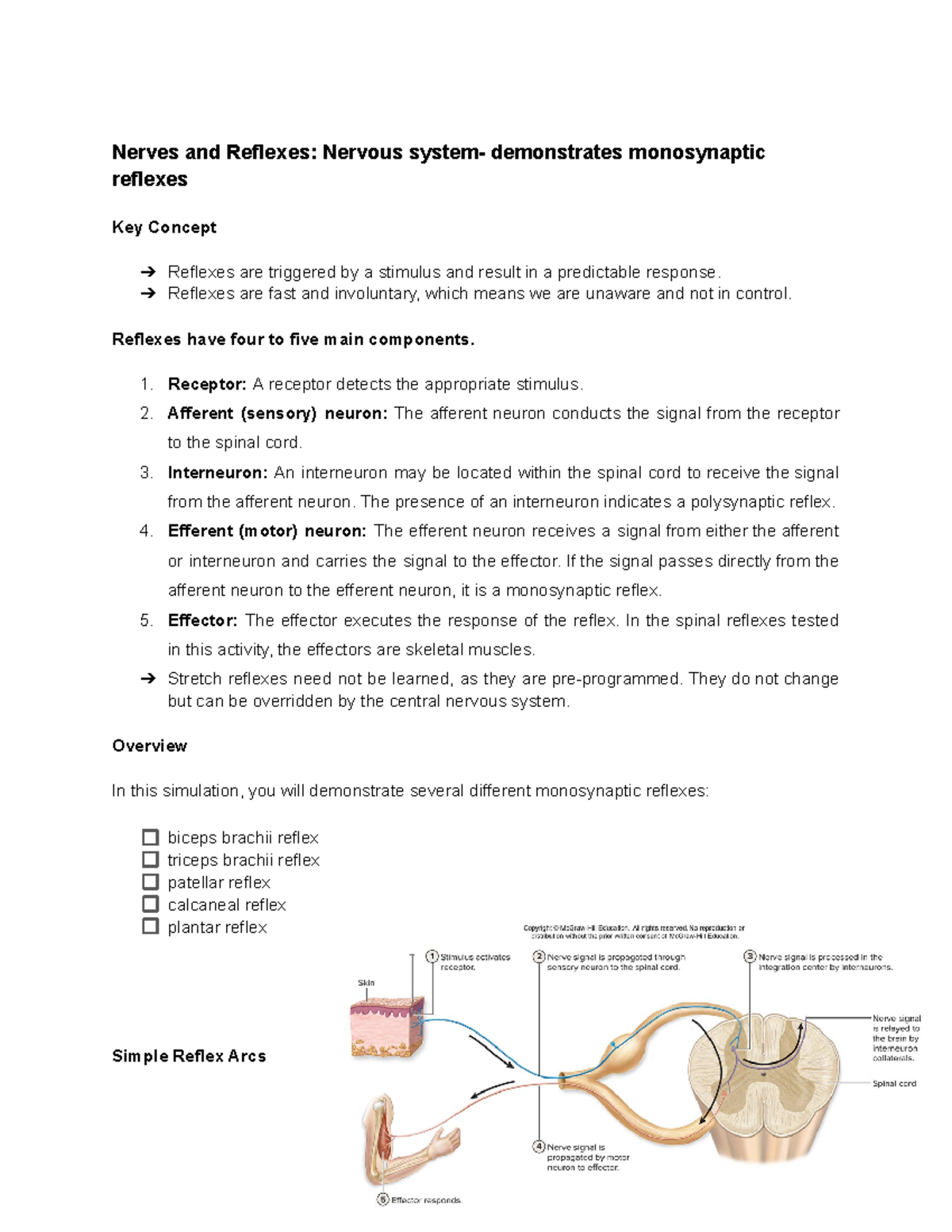 Anatomy and Physiology - Nerves and Reflexes: Nervous system ...