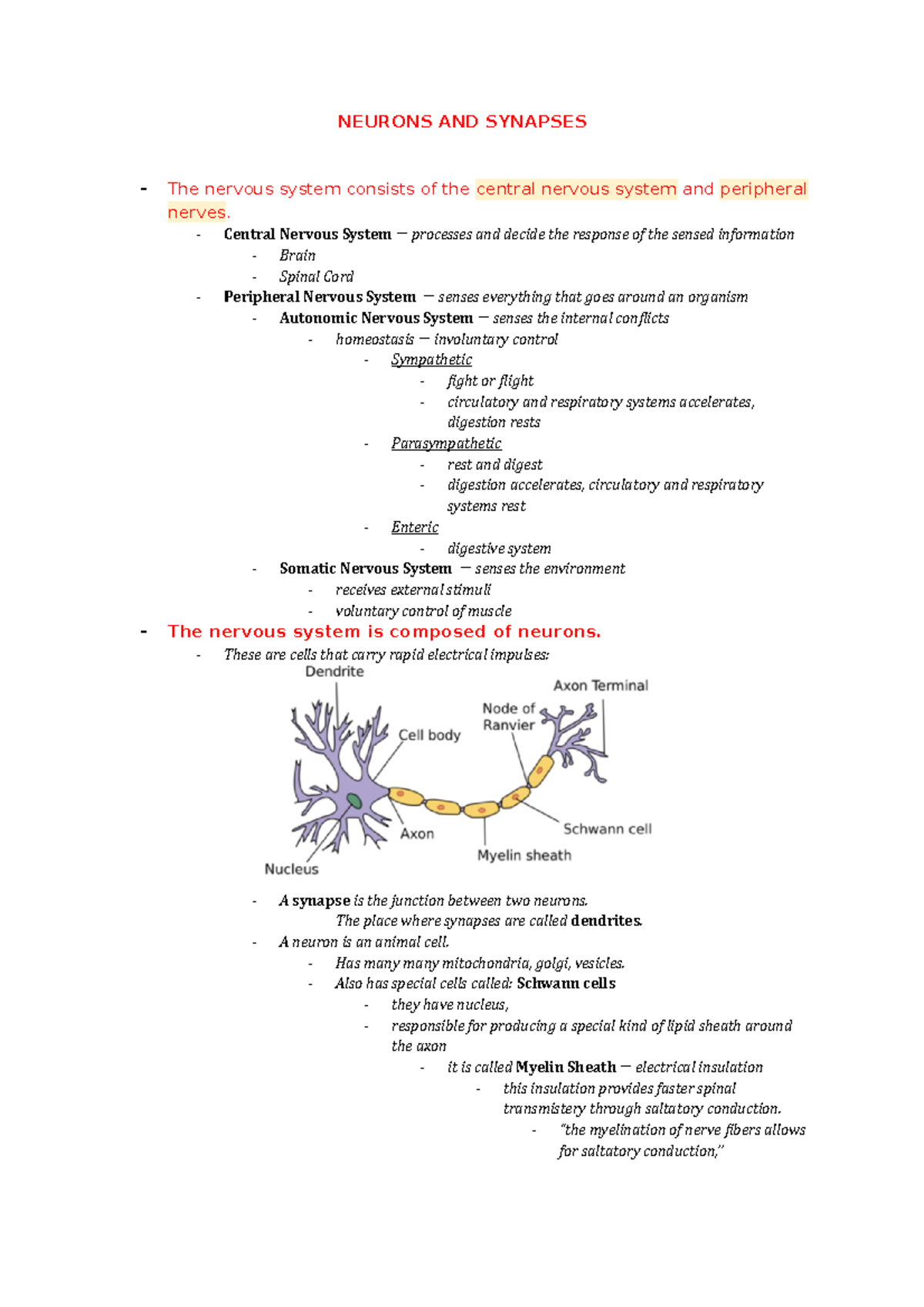 6 - Summary. - NEURONS AND SYNAPSES - The nervous system consists of ...