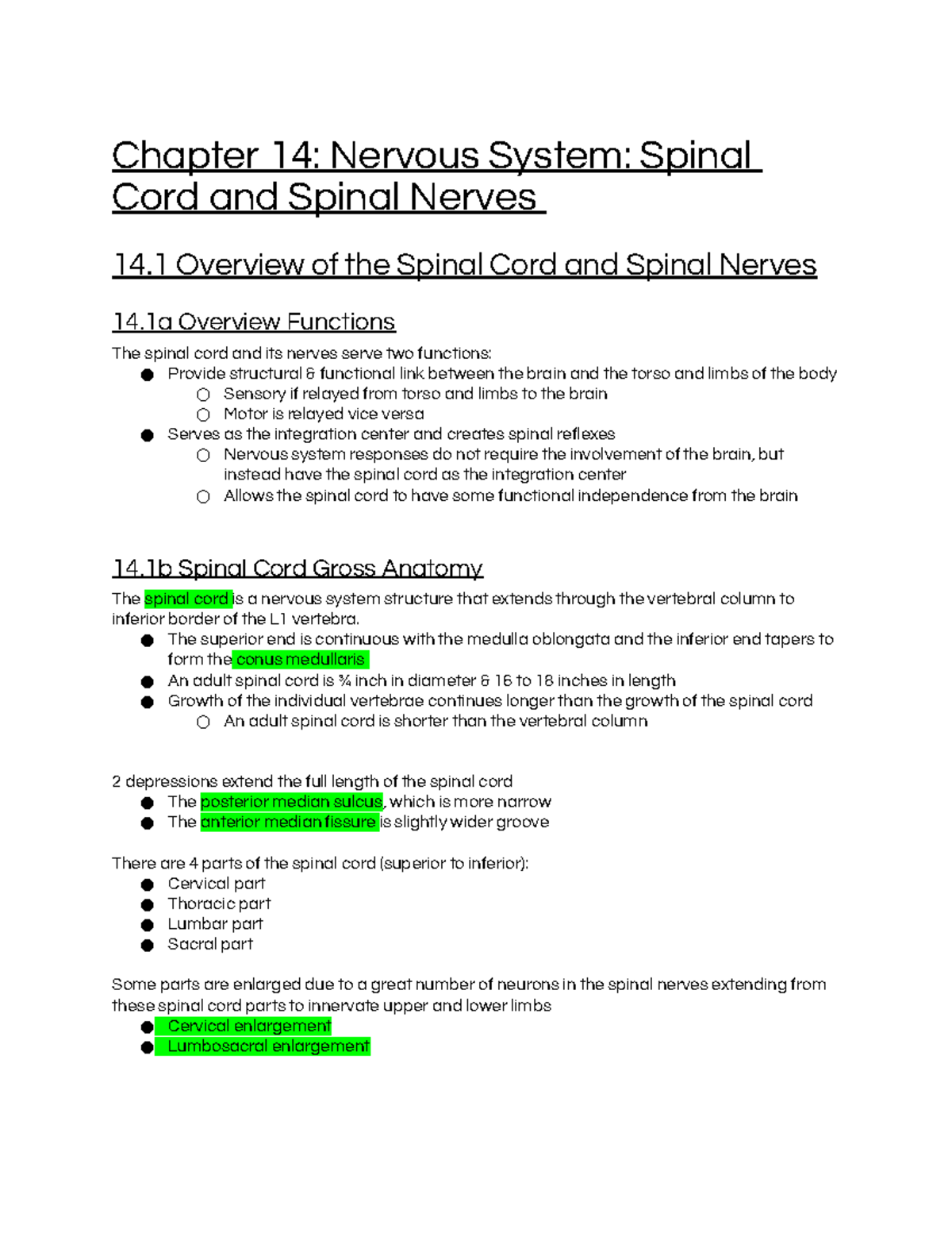 Chapter 14: Nervous System: Spinal Cord and Nerves - Chapter 14 ...