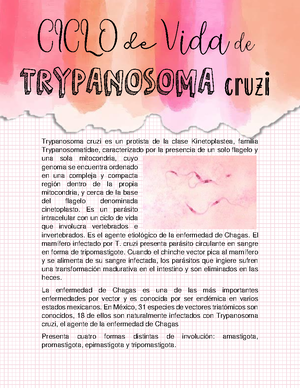 Artropodos - Artrópodos - Damalinia spp. ESPECIE AFECTADA Equinos ( D ...