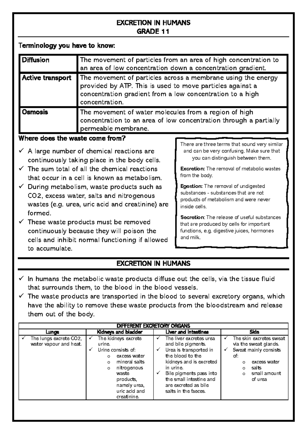 Excretion IN Humans - Notes - EXCRETION IN HUMANS GRADE 11 Terminology ...