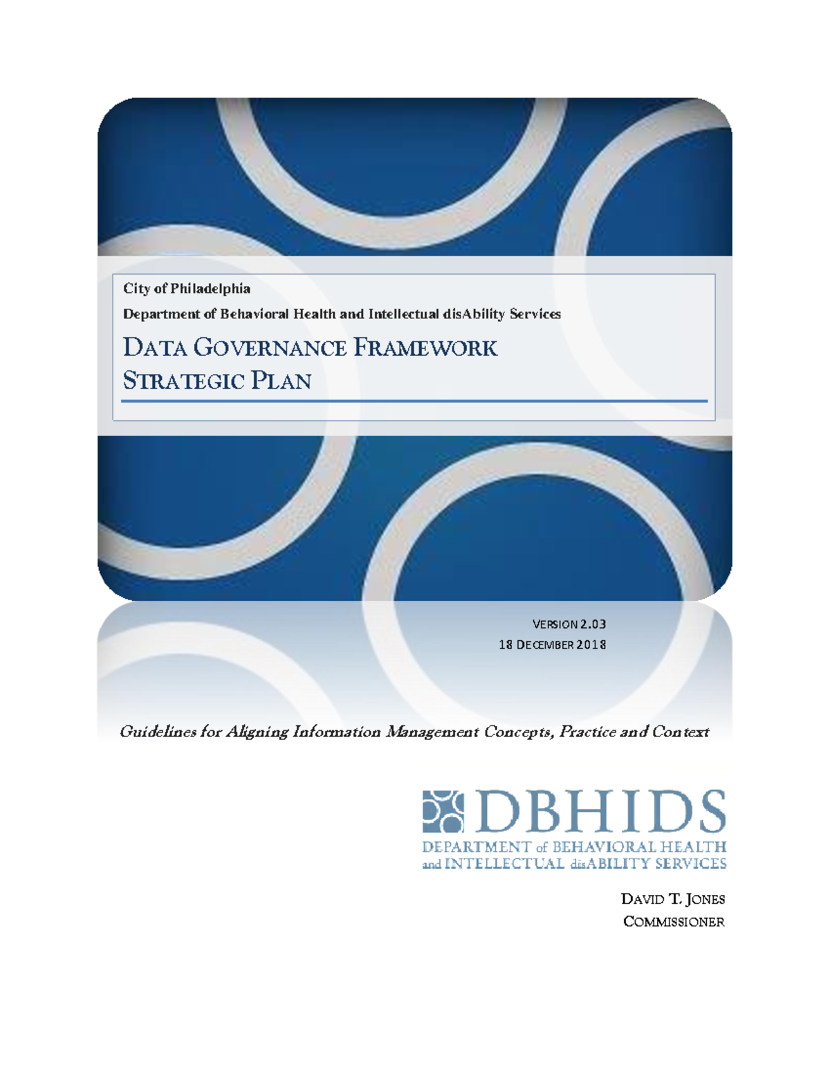 Dbhids DG Framework Strategic Plan v2 - VERSION 2. 18 DECEMBER 2018 ...