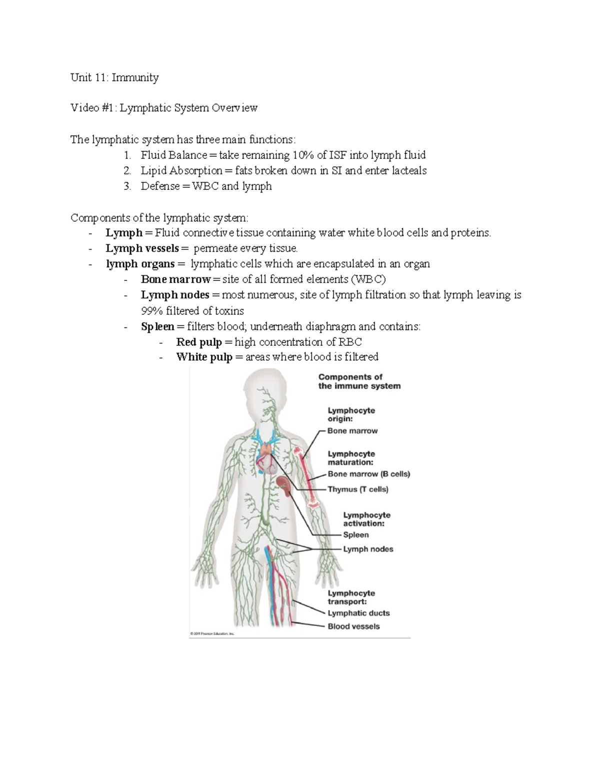 Unit 11 Immunity - Immunology video summaries - Unit 11: Immunity Video ...