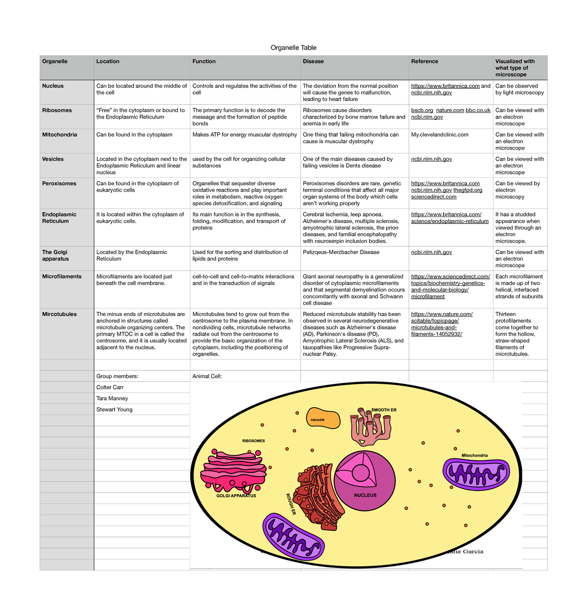 Organelle Table msu - Organelle Table Organelle Location Function ...
