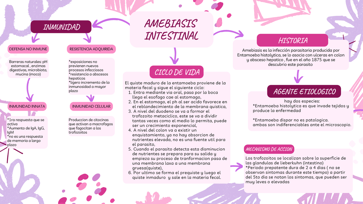 Amebiasis - parasitologia I - AMEBIASIS INTESTINAL hay dos especies ...