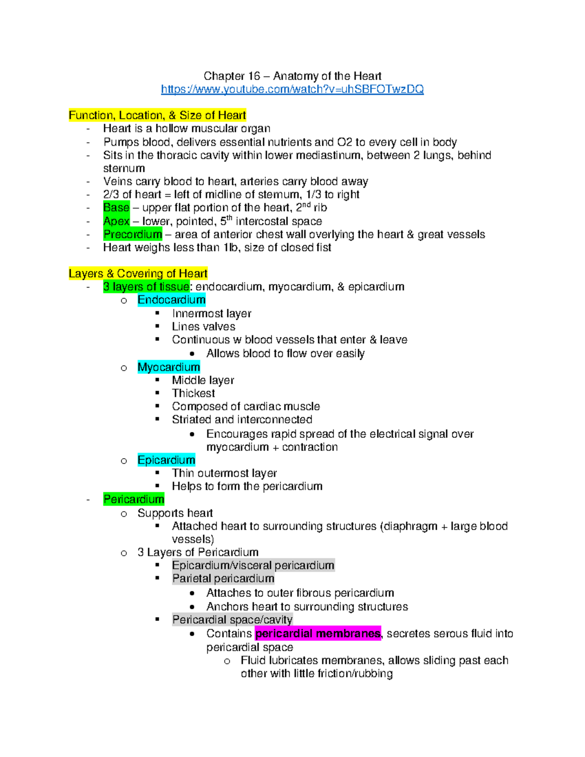 Chapter 16 - Anatomy of the Heart - Chapter 16 – Anatomy of the Heart ...