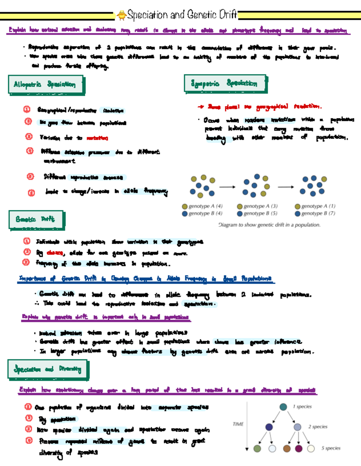 Speciation and Genetic Drift Notes - 🐥 Speciation and Genetic Drift ...