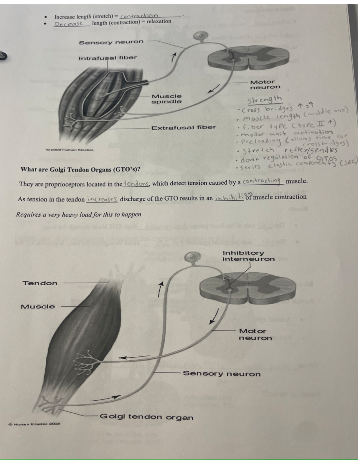Chapter One Lecture Notes Exs 410 Studocu