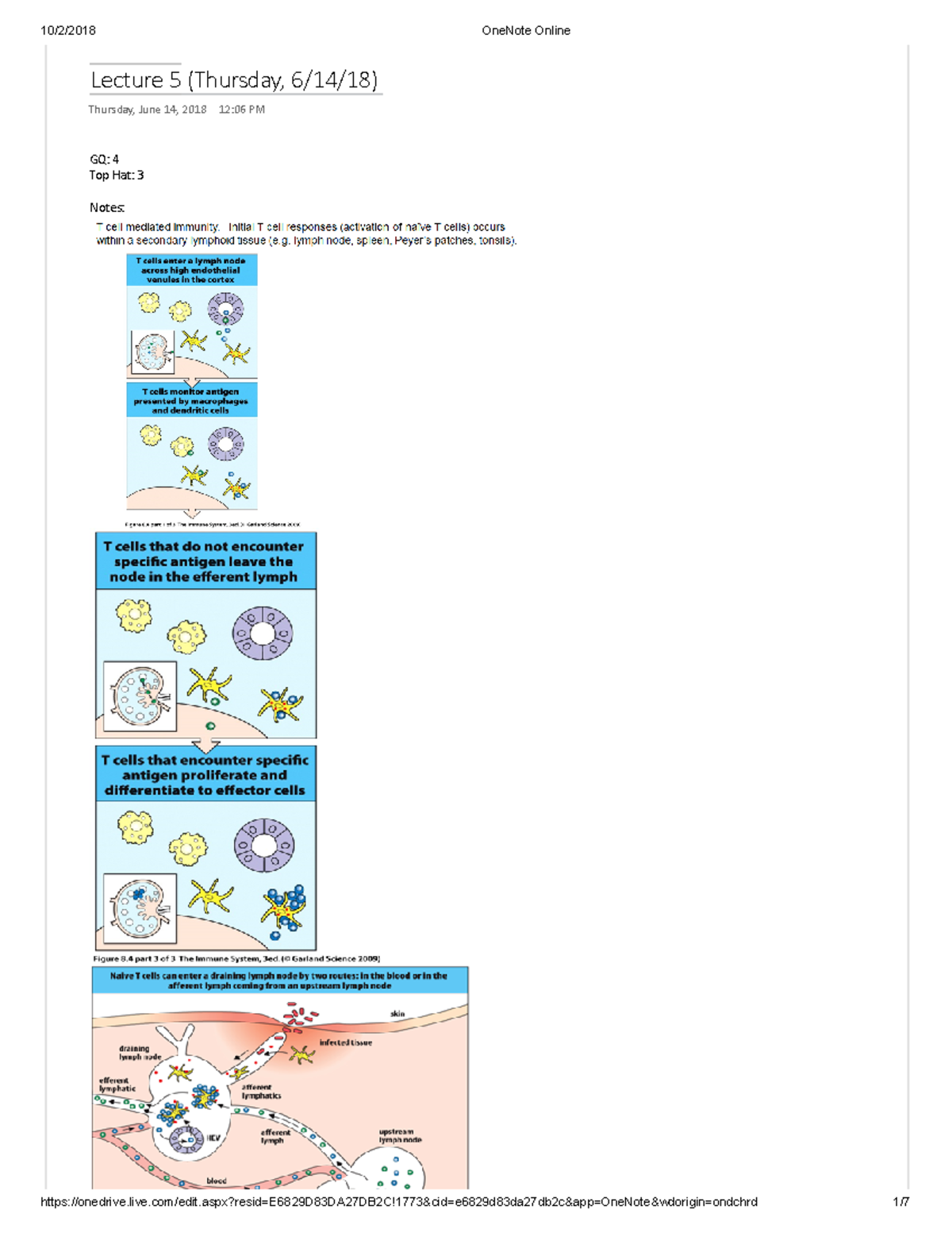 Lecture 5 - OneNote Online Lecture 5 (Thursday, Thursday, June 14, 2018 ...