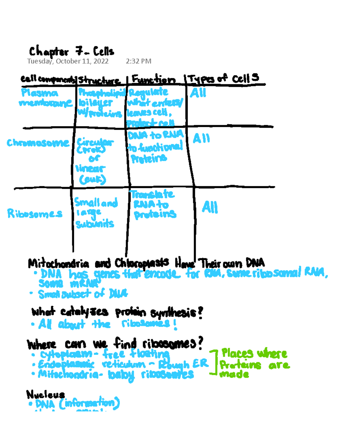 Lec-chap7 - All about cells, organelles, and functions. - BIOL 141 ...