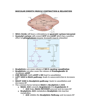 Skeletal System - dan kiel - Skeletal System Introduction: Function of ...