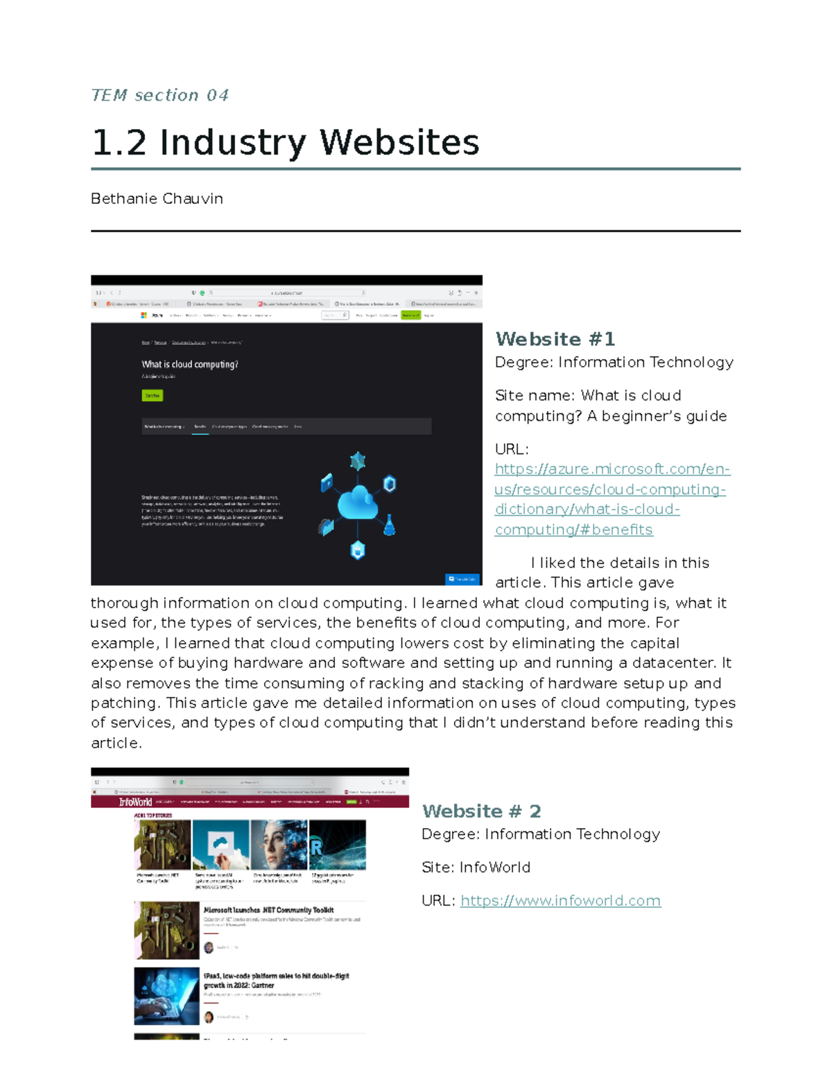 TEM 1.2 Industry Websites - TEM section 04 1 Industry Websites Bethanie ...