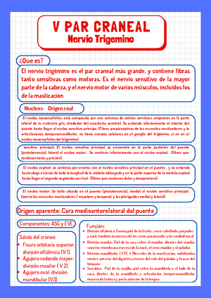 Regiones Profundas DE LA CARA Y Craneo - TEMA 8 REGIONES PROF. DE LA ...