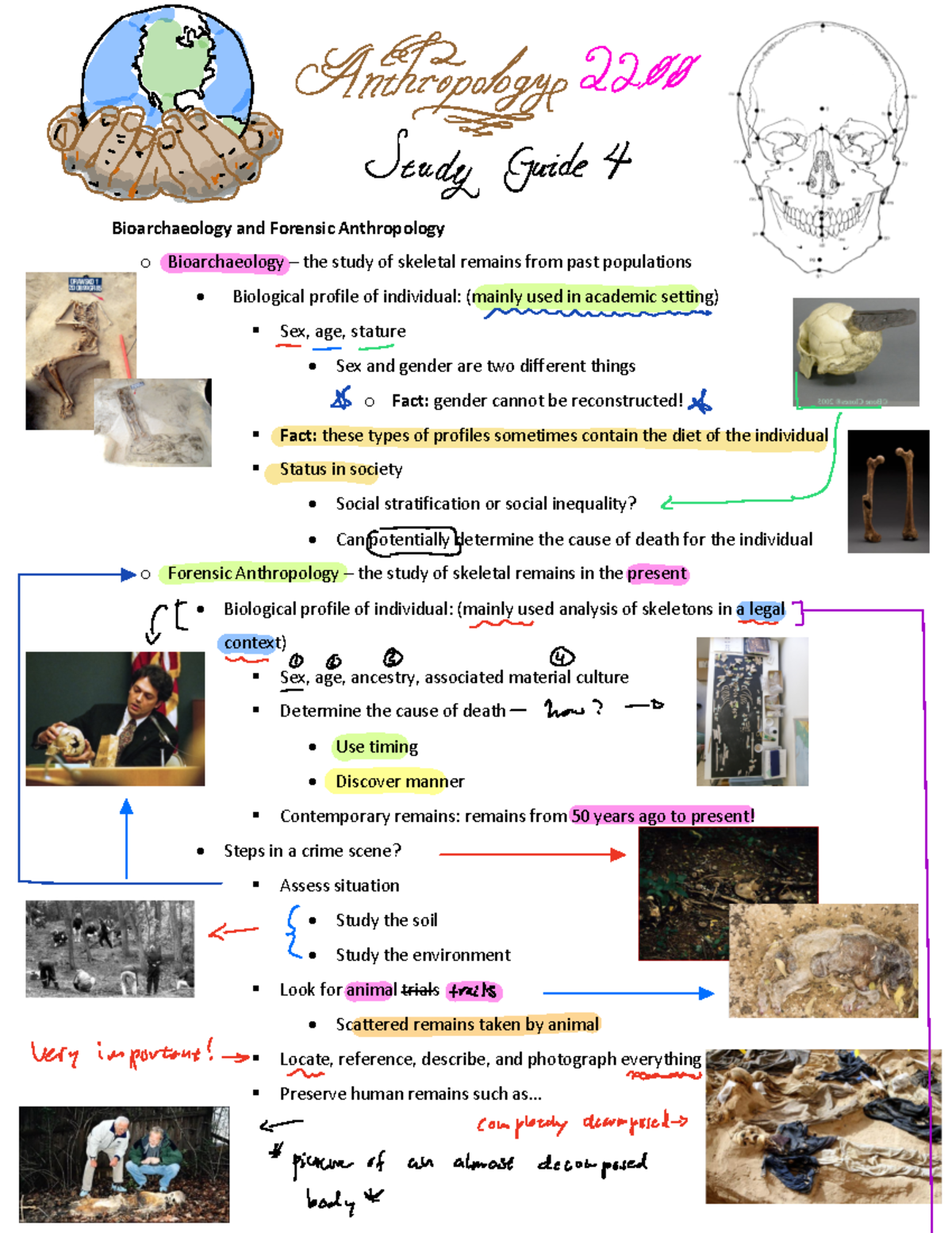 Anthropology 2200 Study Guide 4 - Bioarchaeology and Forensic ...