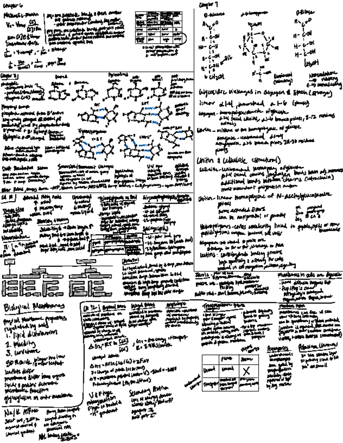 Biochem Cheat Sheet - Chapter! Chapter 7 Michaelis-Menten Inhibitor ...