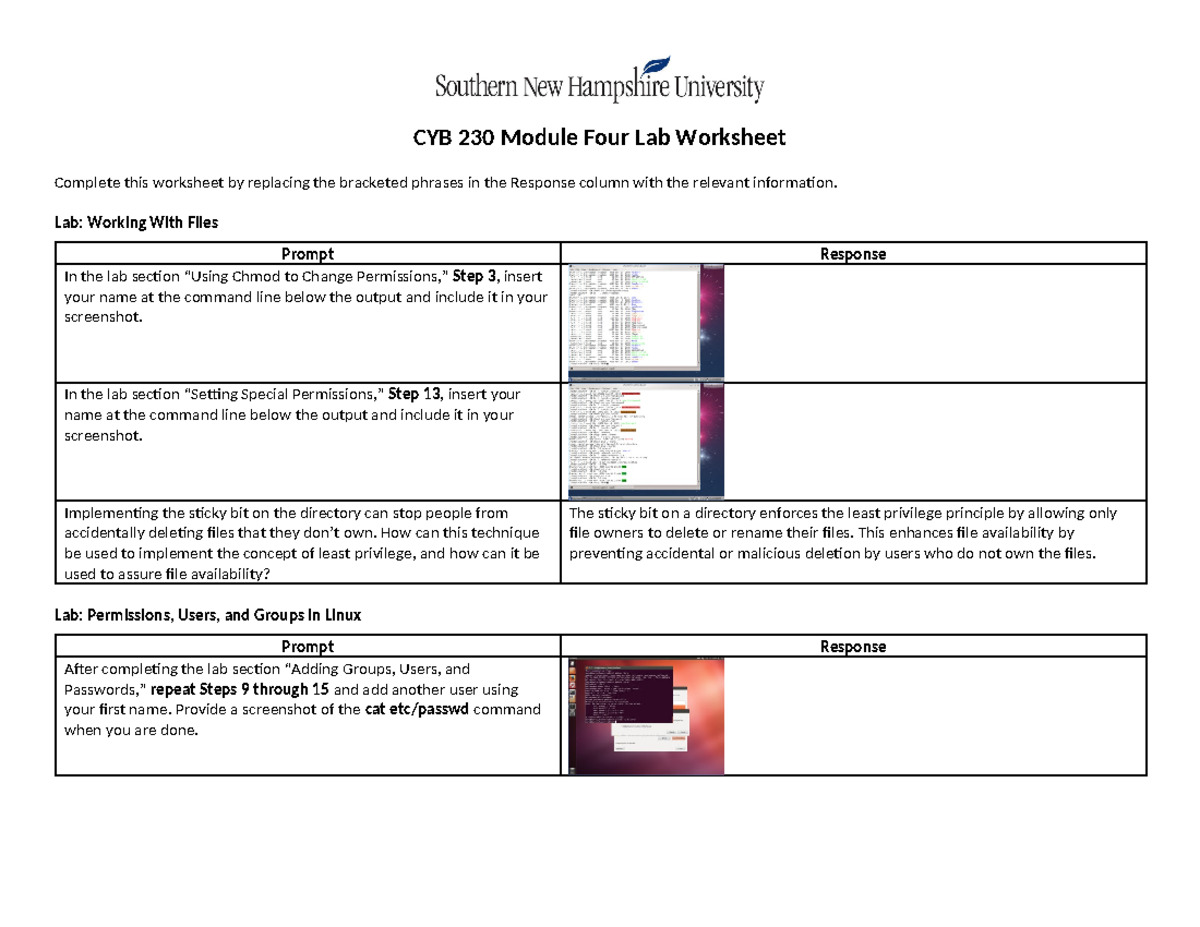 CYB 230 Module Four Lab Worksheet - CYB 230 Module Four Lab Worksheet ...