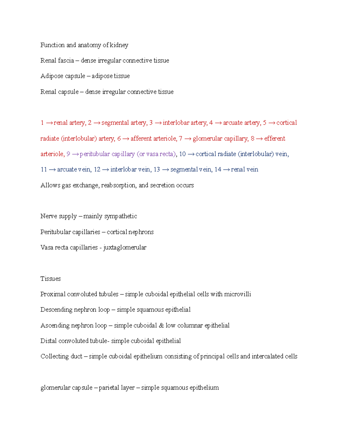 Part 2 urinary notes - Function and anatomy of kidney including flow ...