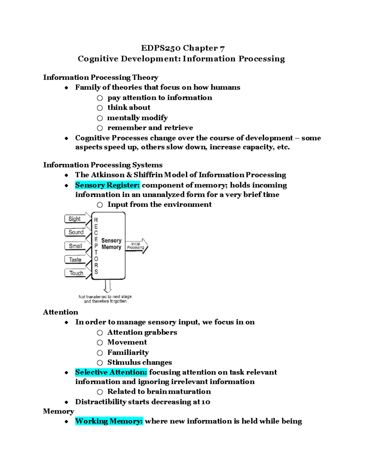 EDPS250 Chapter 7 - Information Processing Systems The Atkinson & Shiffrin Model of - Studocu