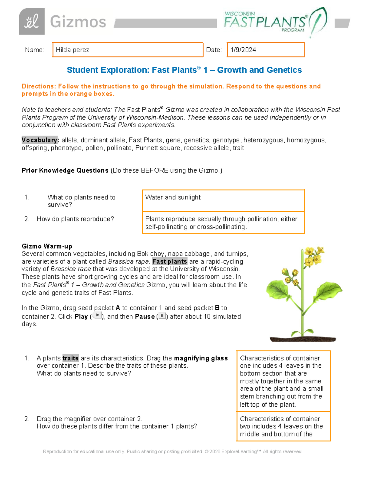 Copy of Fast Plants 1SE - gizmo - Name: Hilda perez Date: 1/9/ Student ...