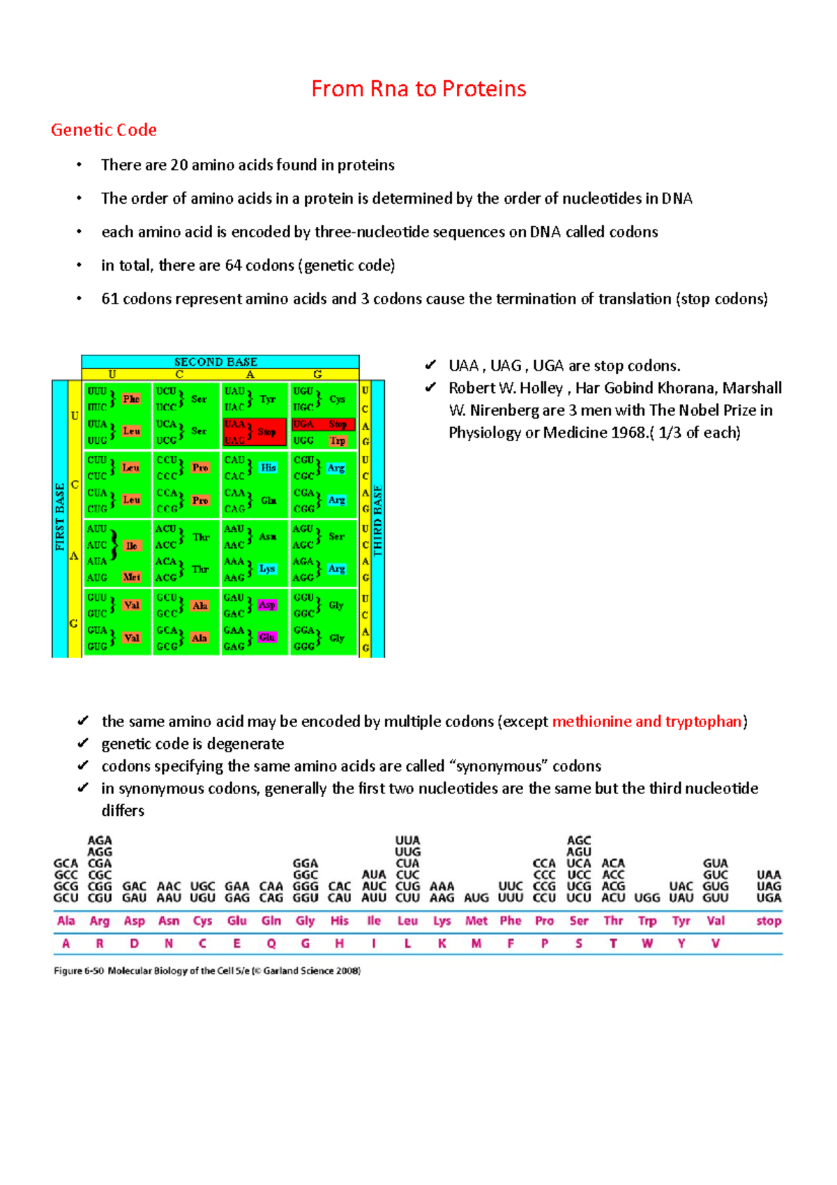 08.12.2020 From Rna to Proteins - From Rna to Proteins Genetic Code ...