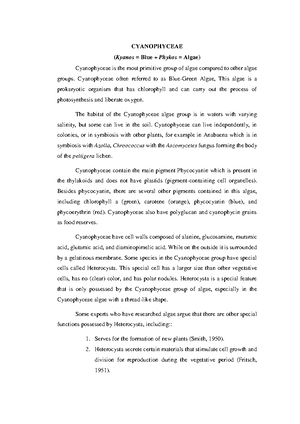 Botany Cryptogamae 03 Chrysophyceae - CHRYSOPHYCEAE (Chrysos = Gold ...