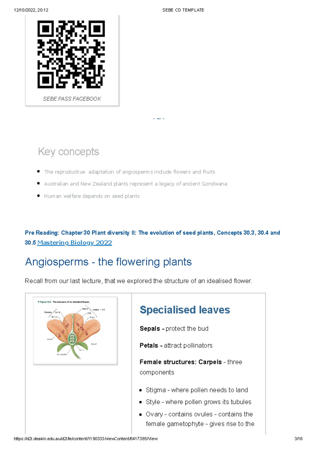 Week 8b Evolution of seed plants continued - SEBE PASS FACEBOOK Pre ...